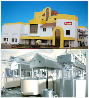 Parag Milk Foods IPO: Reviewing Prabhat Dairy’s shadows – IPO Central